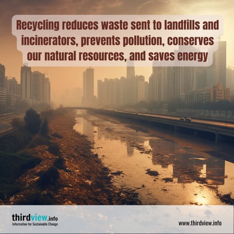 Exploring the Impact of Recycling on Society and Culture - thirdview