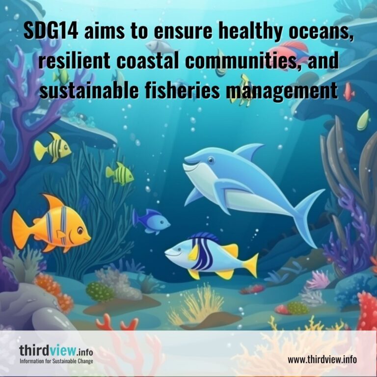 A Deeper Look at SDG 14: Life Below Water - thirdview